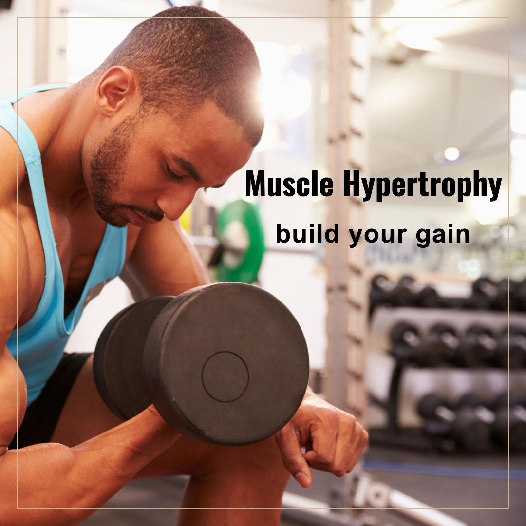 Muscle Hypertrophy: กล้ามใหญ่ขึ้นได้ยังไง? - BANKOFFIT : Your Health ...